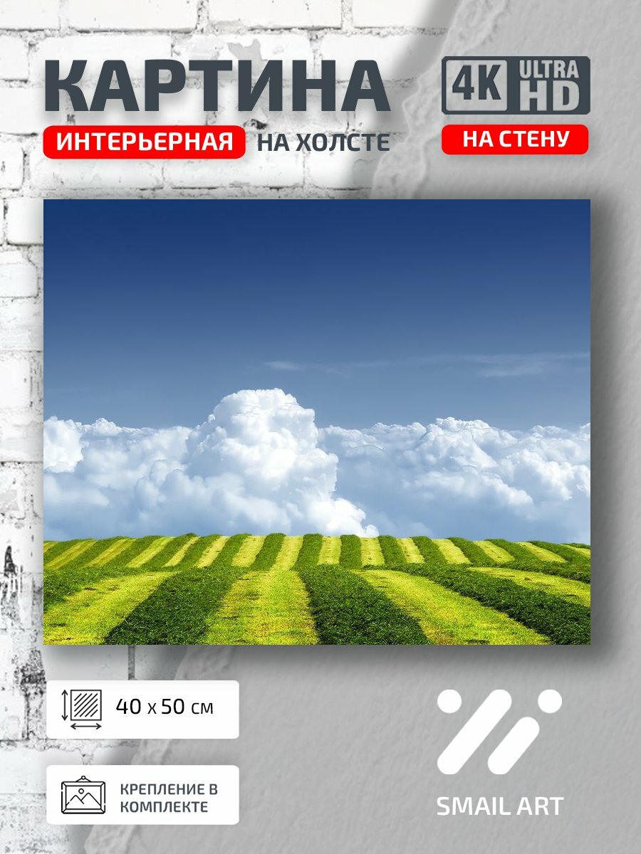 Картина на холсте интерьерная 40 на 50 на стену Полем Landscape для офиса пейзаж интерьер