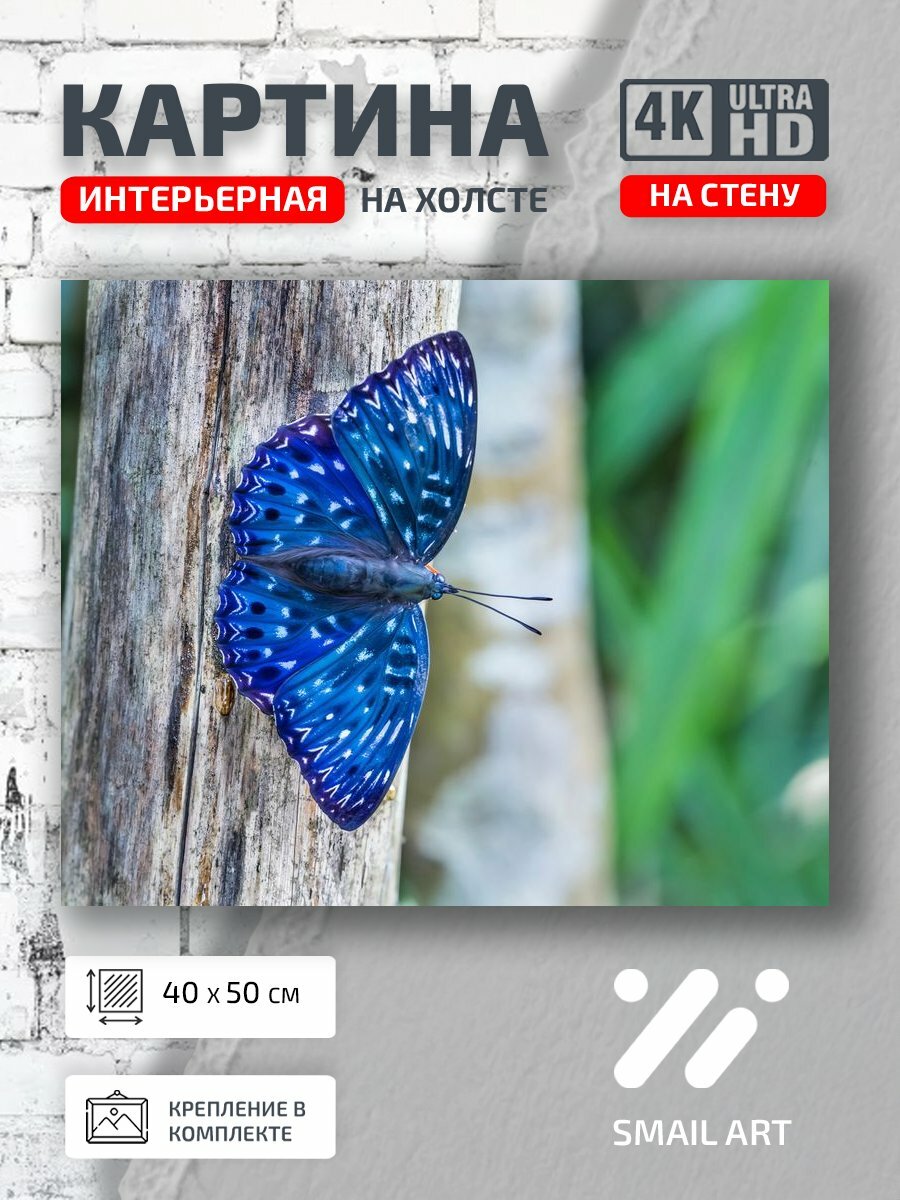 Картина на холсте интерьерная 40 на 50 на стену Дерево Landscape для кафе пейзаж интерьер