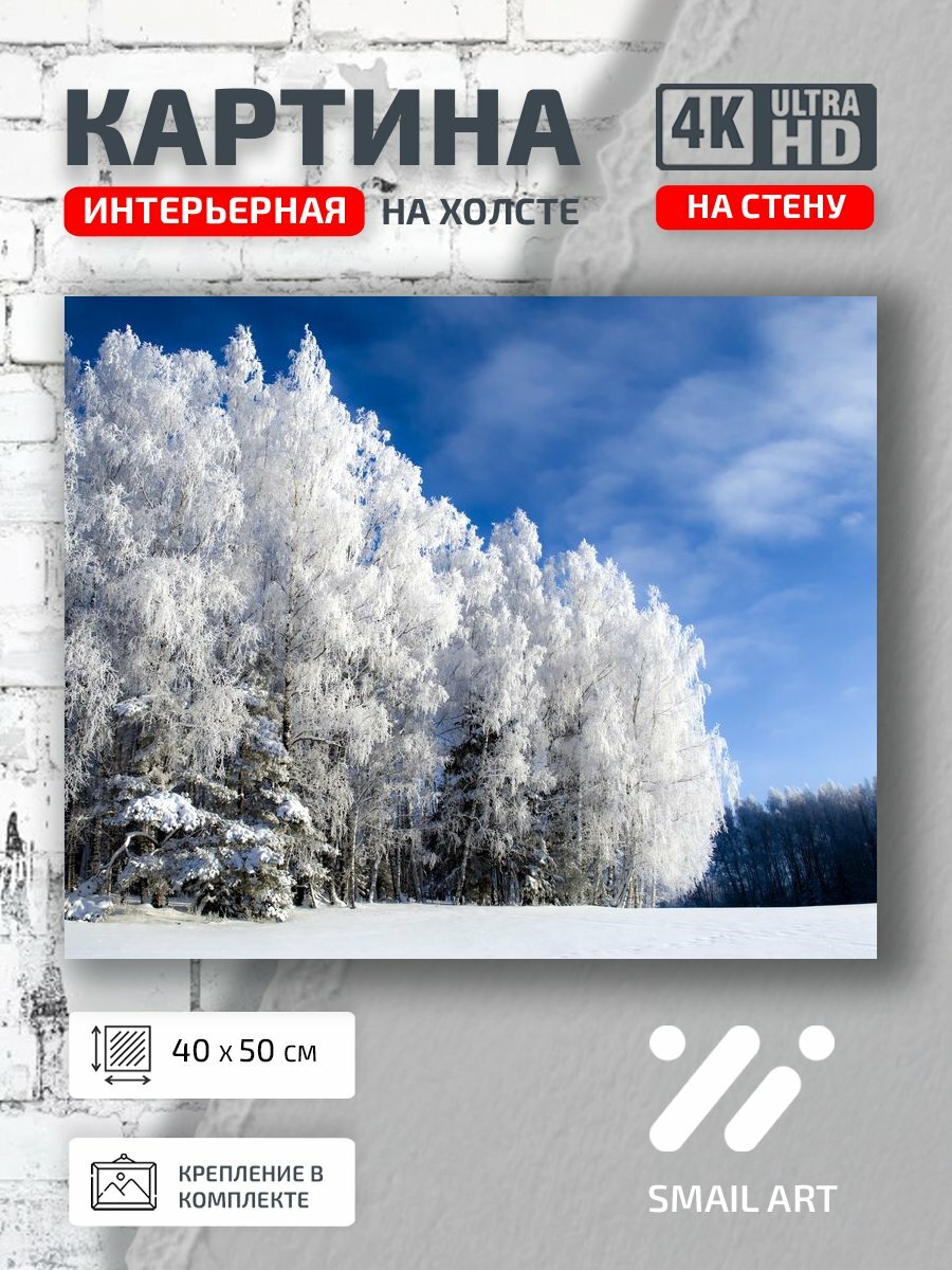 Картина на холсте интерьерная 40 на 50 на стену Зима Landscape для гостиной пейзаж интерьер
