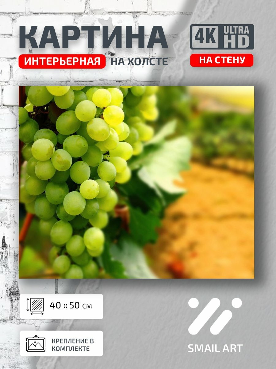 Картина на холсте интерьерная 40 на 50 на стену Гроздь bunch для офиса пейзаж интерьер