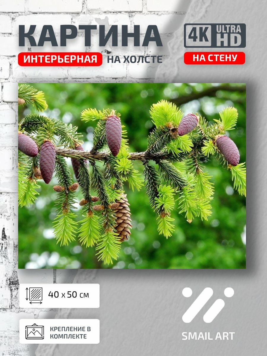Картина на холсте интерьерная 40 на 50 на стену Шишки Landscape для кабинета пейзаж декор