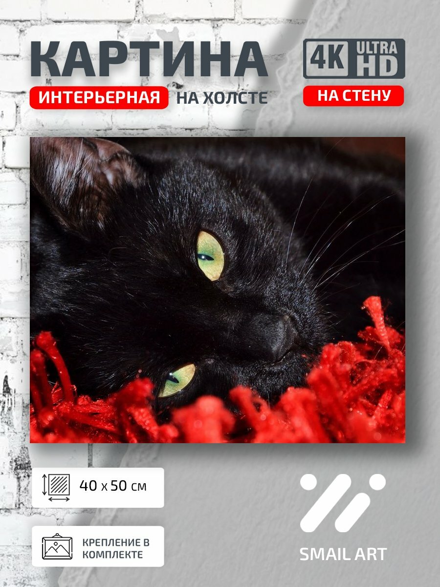 Картина на холсте интерьерная 40 на 50 на стену Покрывало Animal для кабинета animal style