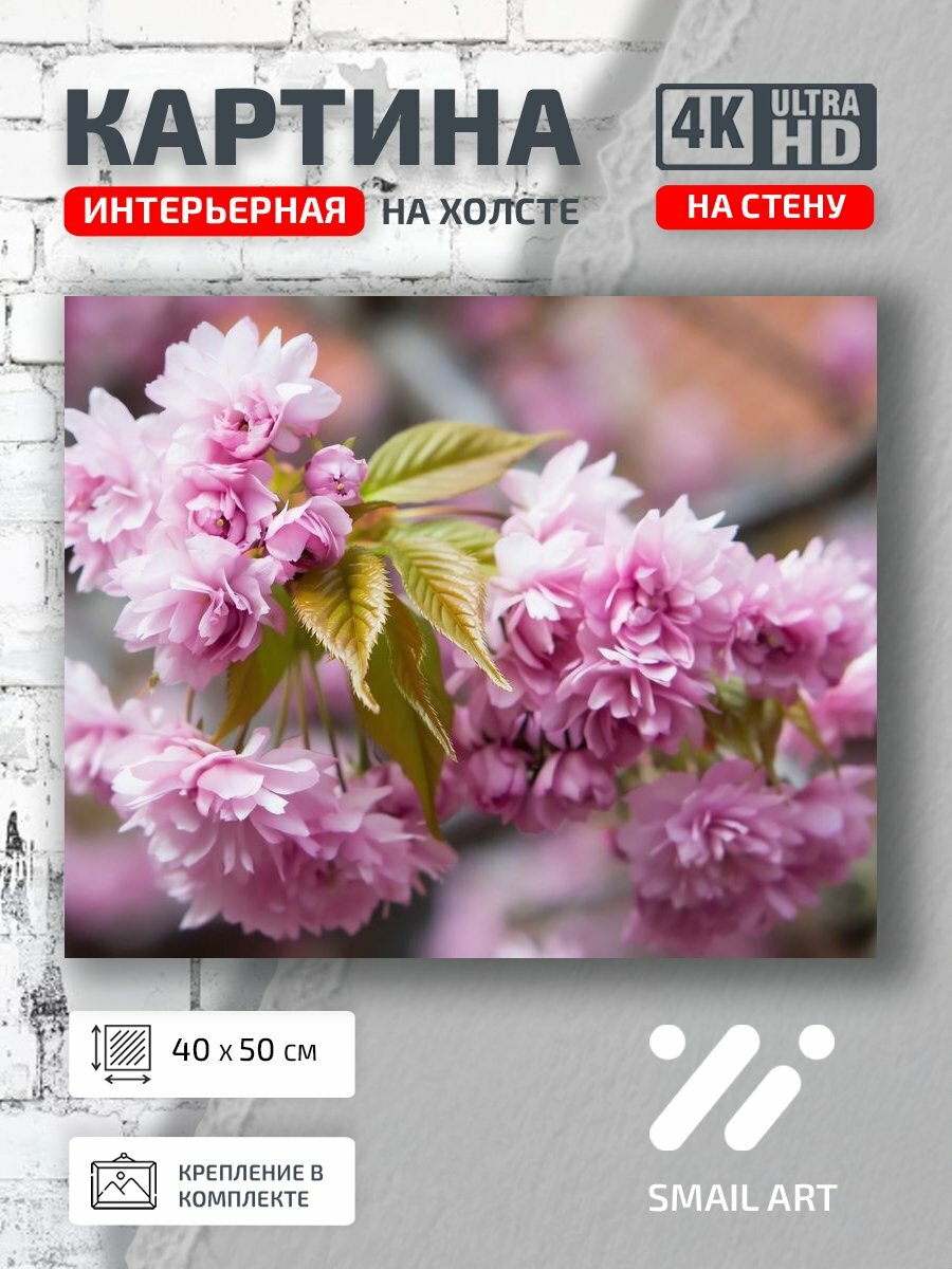 Картина на холсте интерьерная 40 на 50 на стену Весна Mood для студии атмосфера интерьер