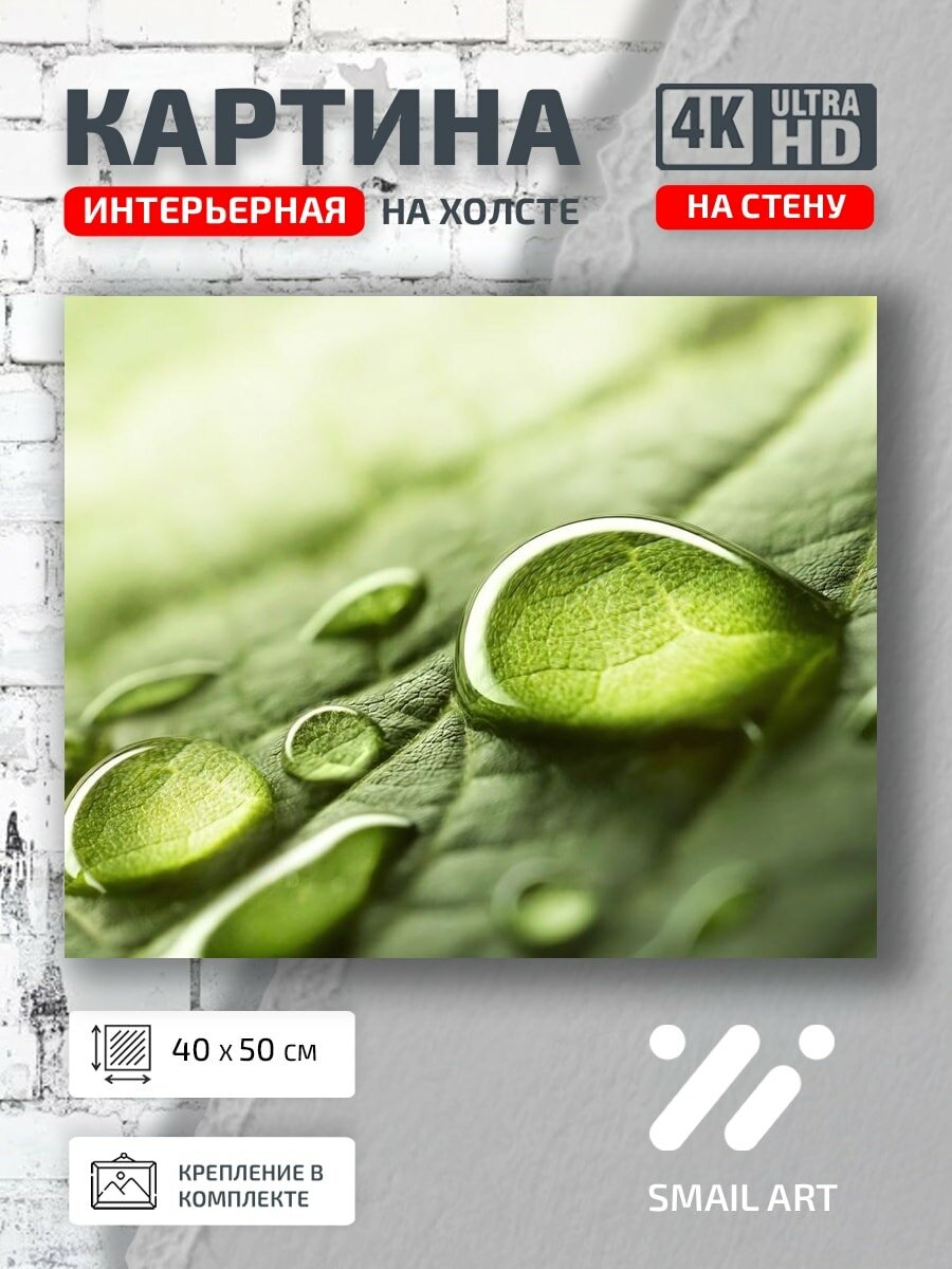 Картина на холсте интерьерная 40 на 50 на стену Макро Капля для офиса атмосфера