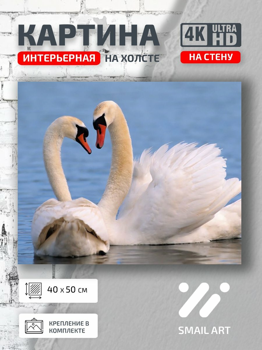 Картина на холсте интерьерная 40 на 50 на стену Лебеди Mood для спальни атмосфера интерьер