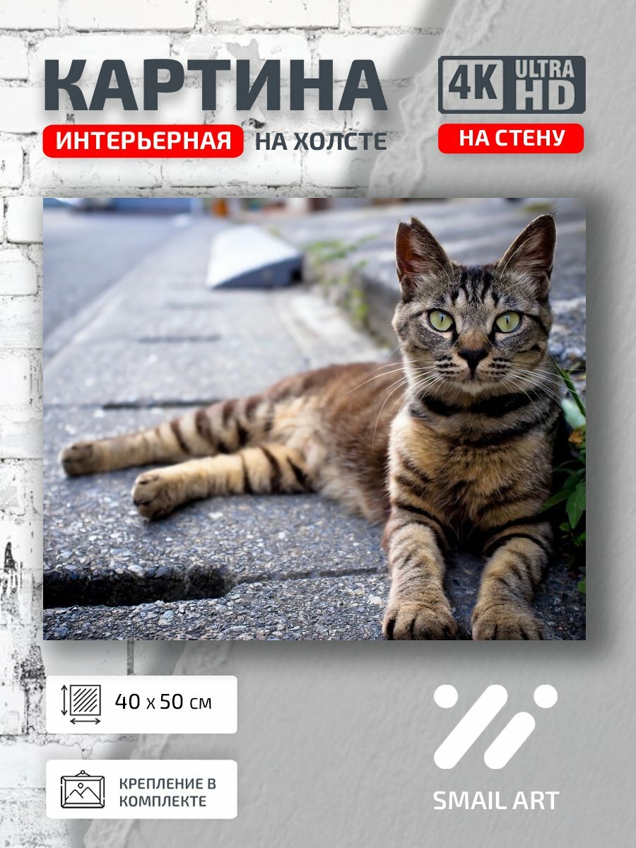 Картина на холсте интерьерная 40 на 50 на стену Кошка Animal для кафе animal style интерьер