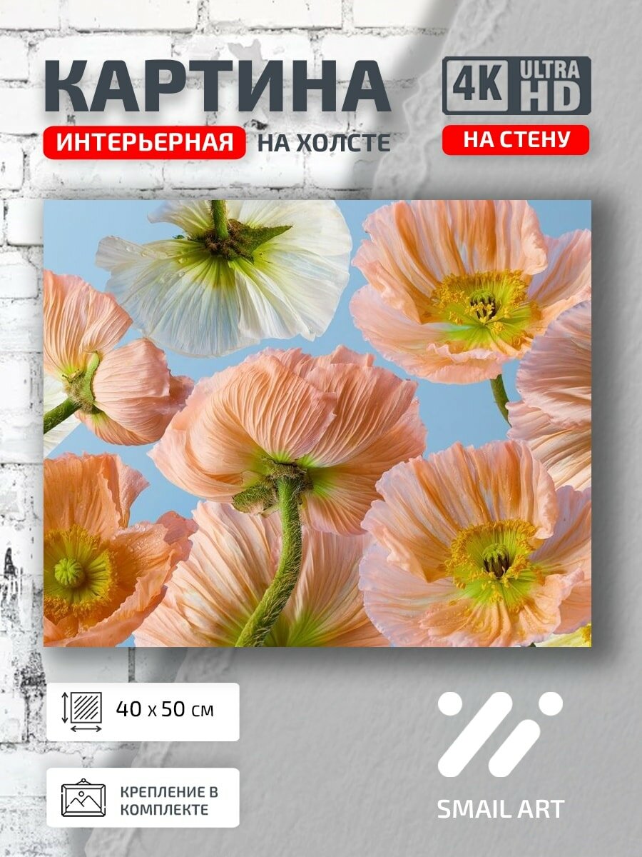 Картина на холсте интерьерная 40 на 50 на стену Цветы мака для гостиной атмосфера