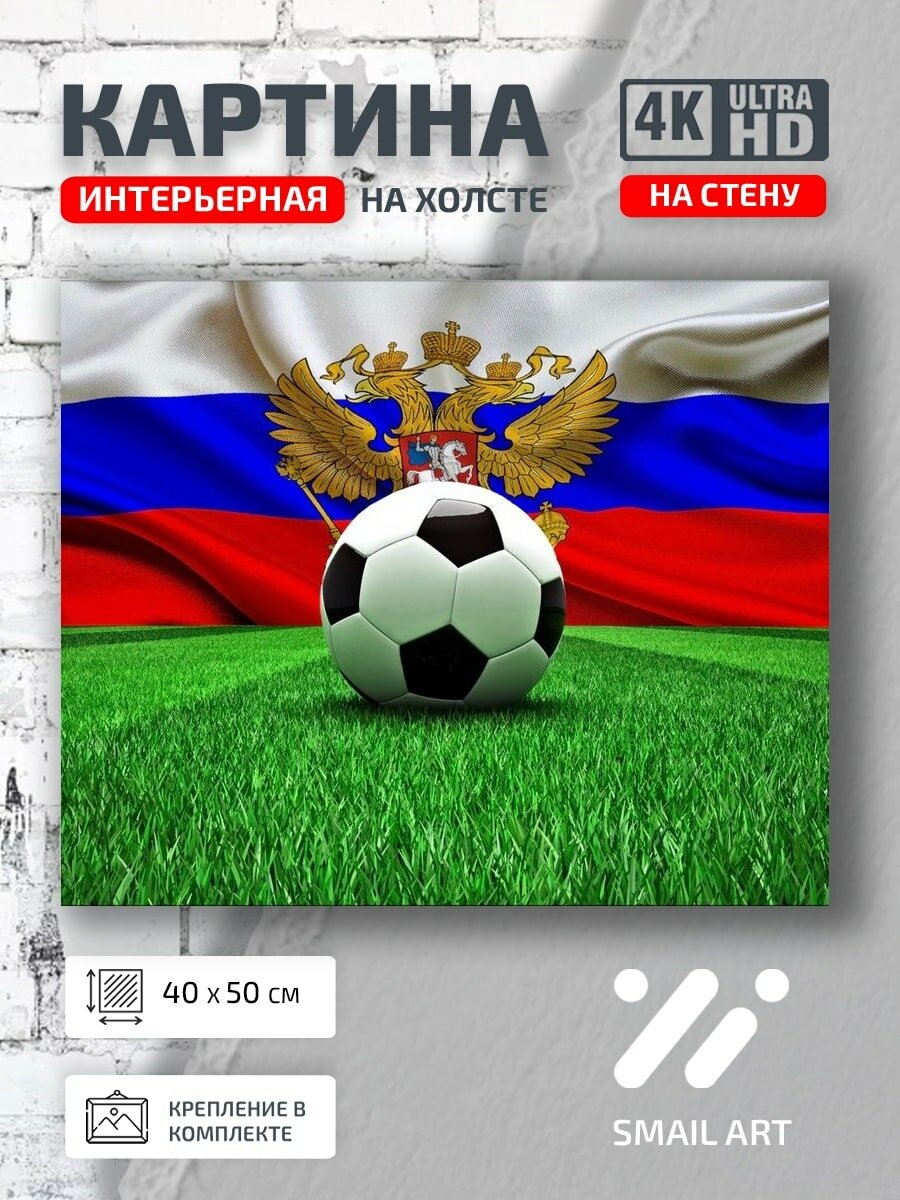 Картина на холсте интерьерная 40 на 50 на стену Российский футбол для гостиной атмосфера