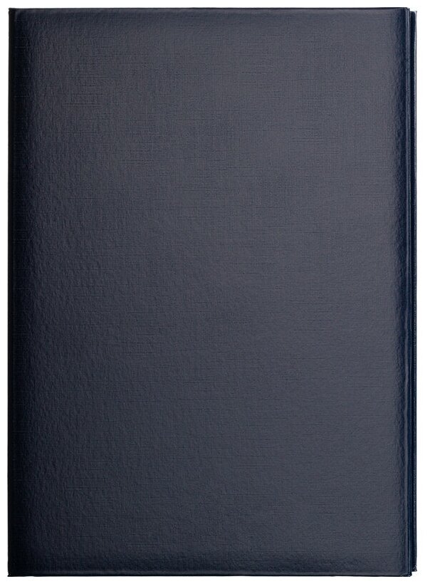 Папка адресная А4 бумвинил с поролоном синяя 995406