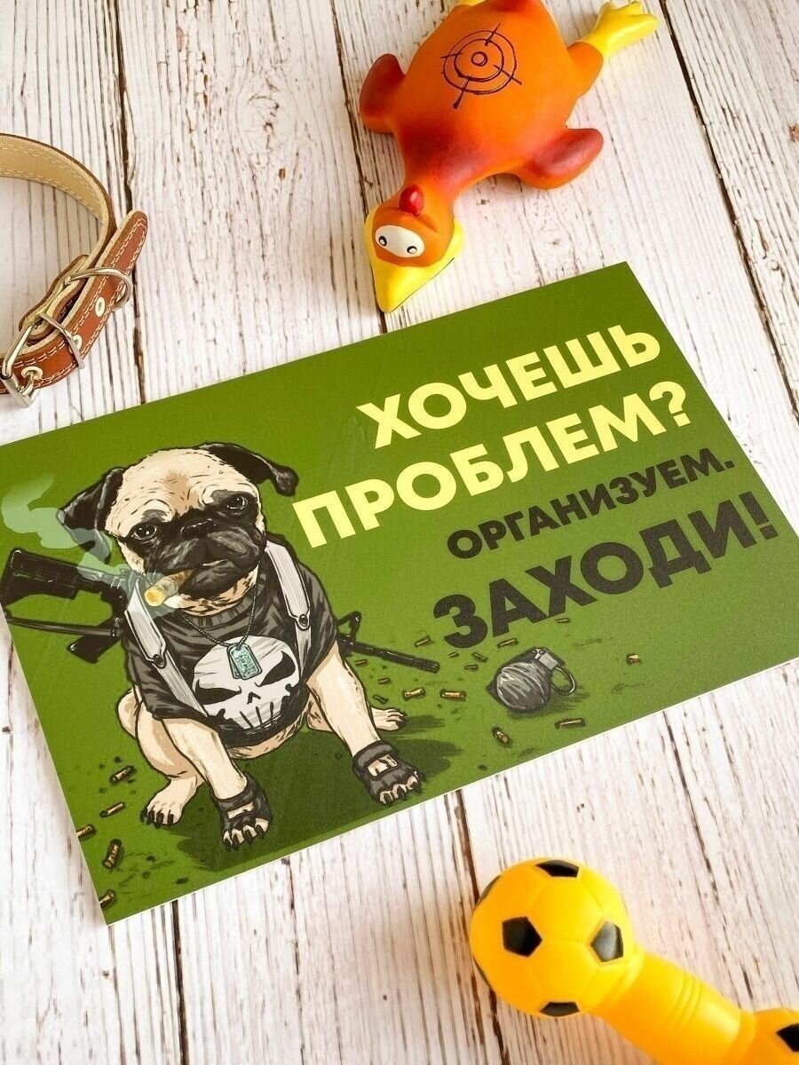 Табличка на дом Злая собака 20х30 см