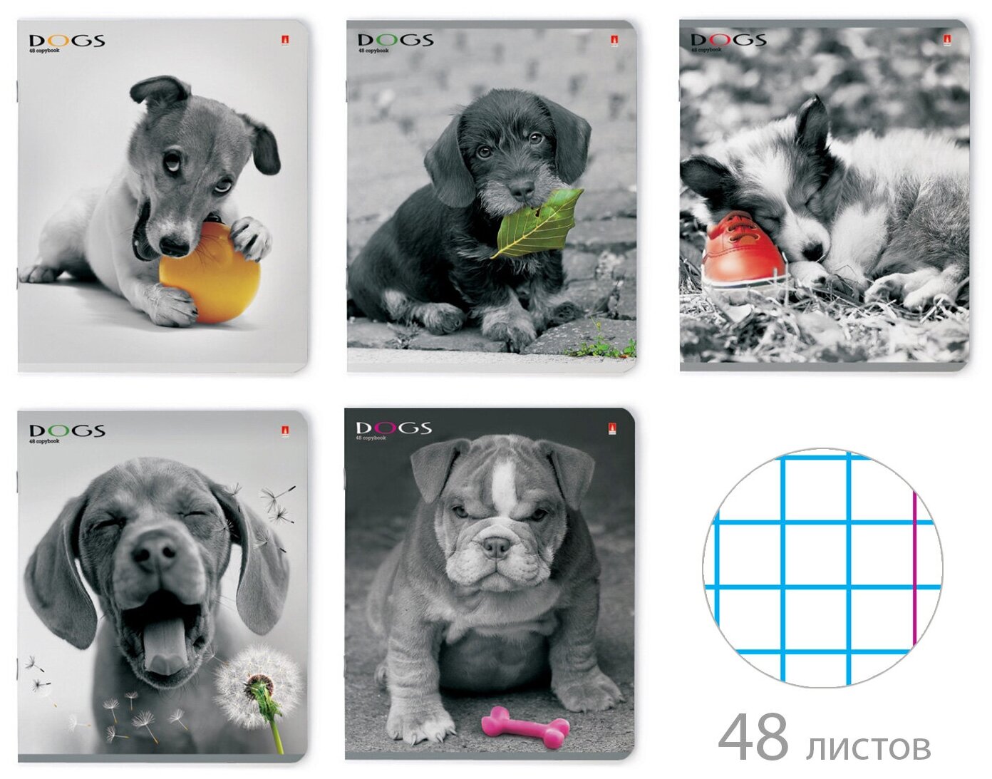 Тетрадь общая Альт, А5 (165 х 203 мм), "щенки. Контрасты" 48 л, клетка, Арт. 7-48-1026, обложка в ассортименте, 5шт.