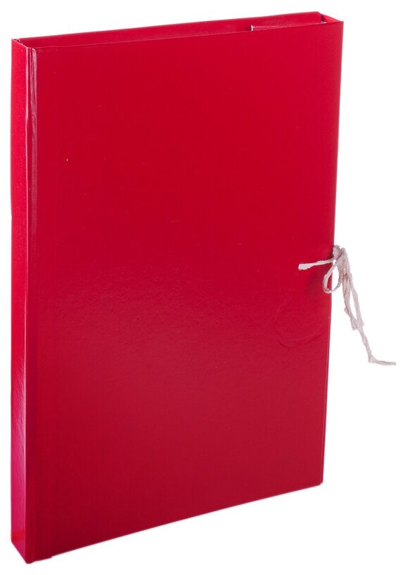 Папка архивная с жесткими клапанами, покрытие бумвинил, с 4 завязками, ширина корешка 30 мм