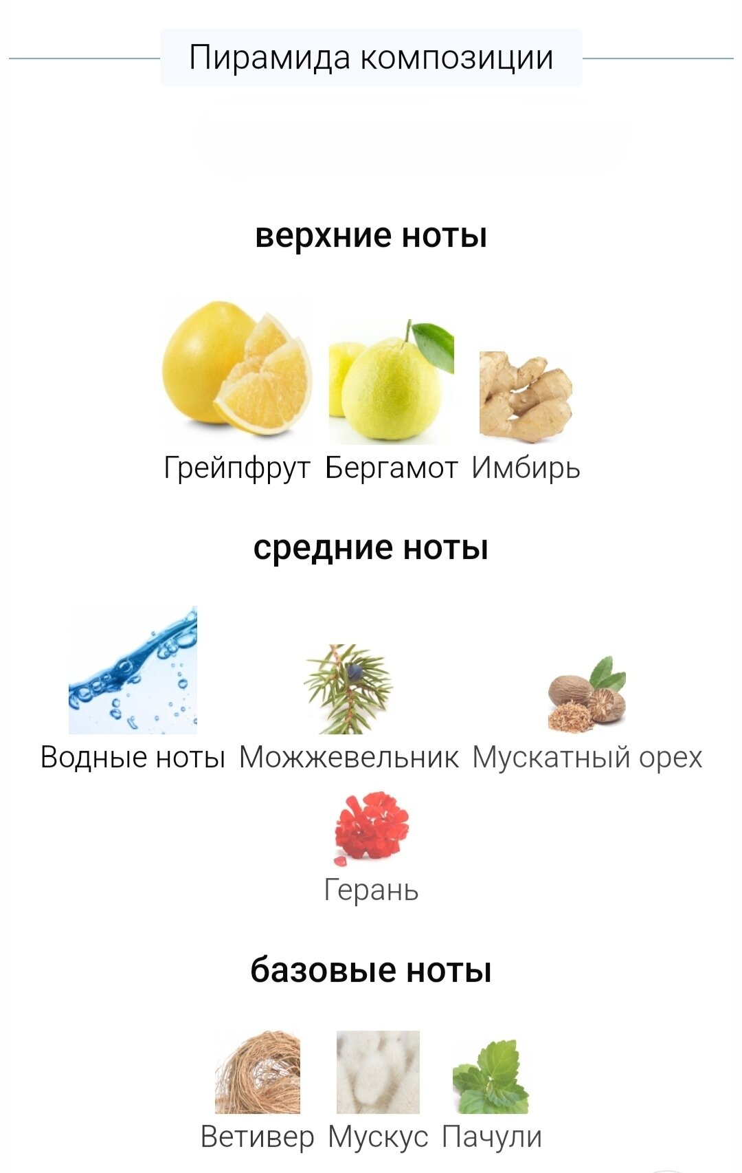 Духи ручной работы по мотивам 'Essential Sport', для мужчин Lu Parfume — фото 1