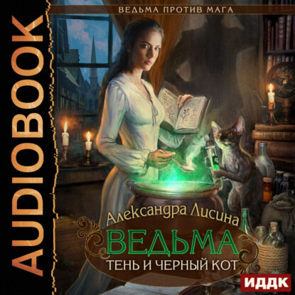 Ведьма против мага. Книга 1. Ведьма, тень и черный кот [Аудиокнига]