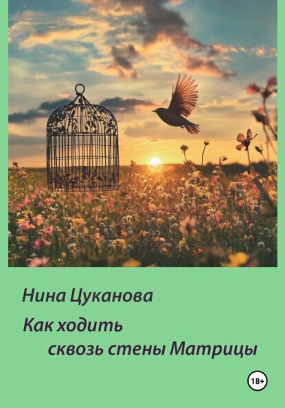 Как ходить сквозь стены Матрицы [Цифровая книга]