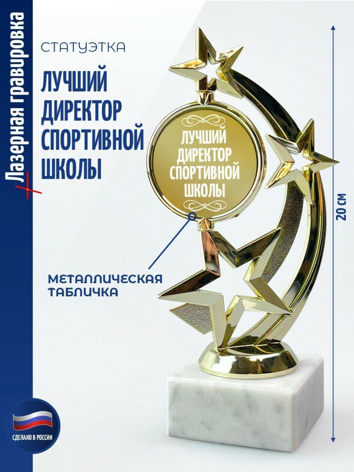 Статуэтка Звезда "Лучший директор спортивной школы" (19,5 см)
