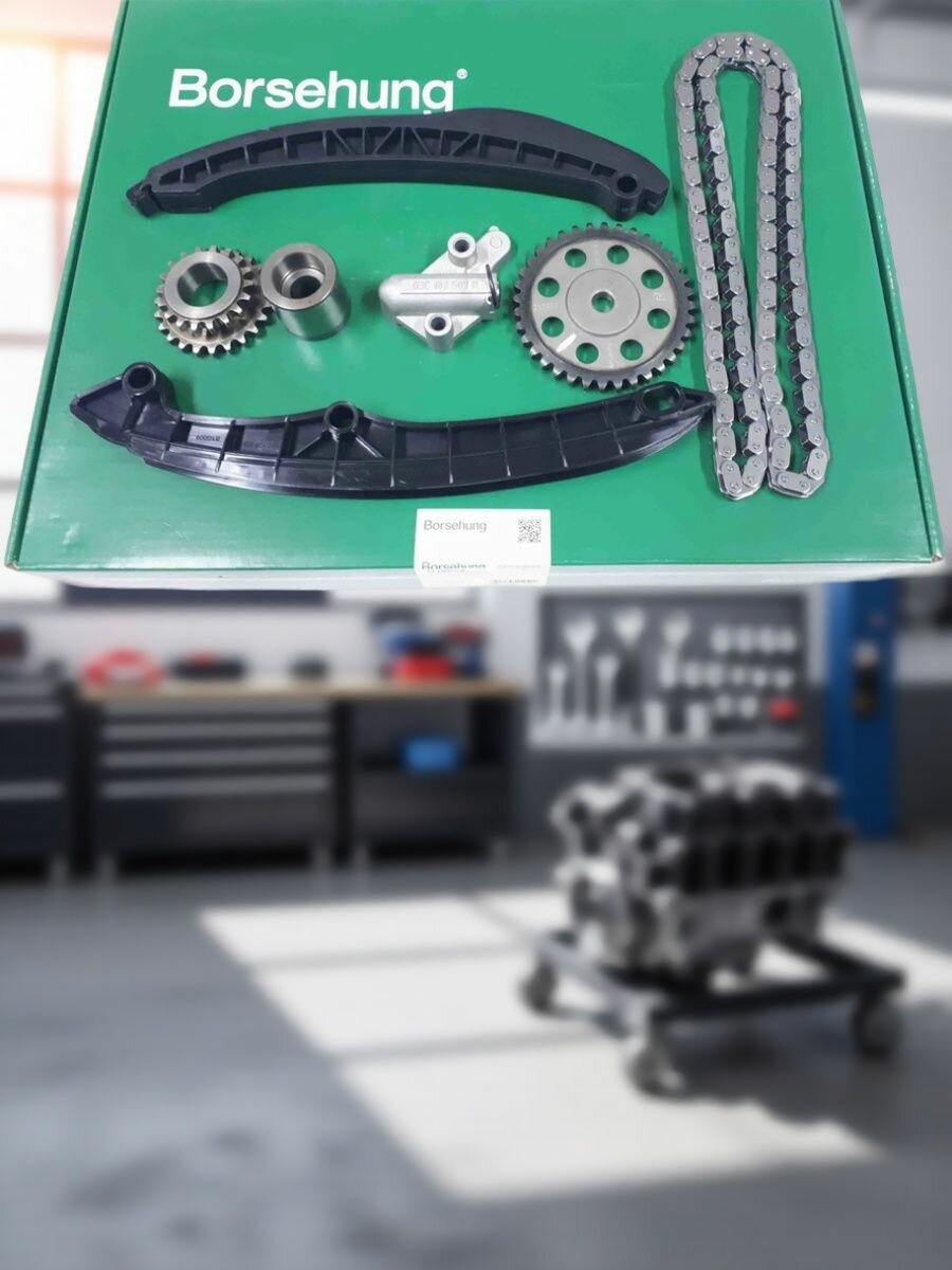 Borsehung Цепь ГРМ, арт. B18475 Комплект для VAG 1.4 TSI CAXA