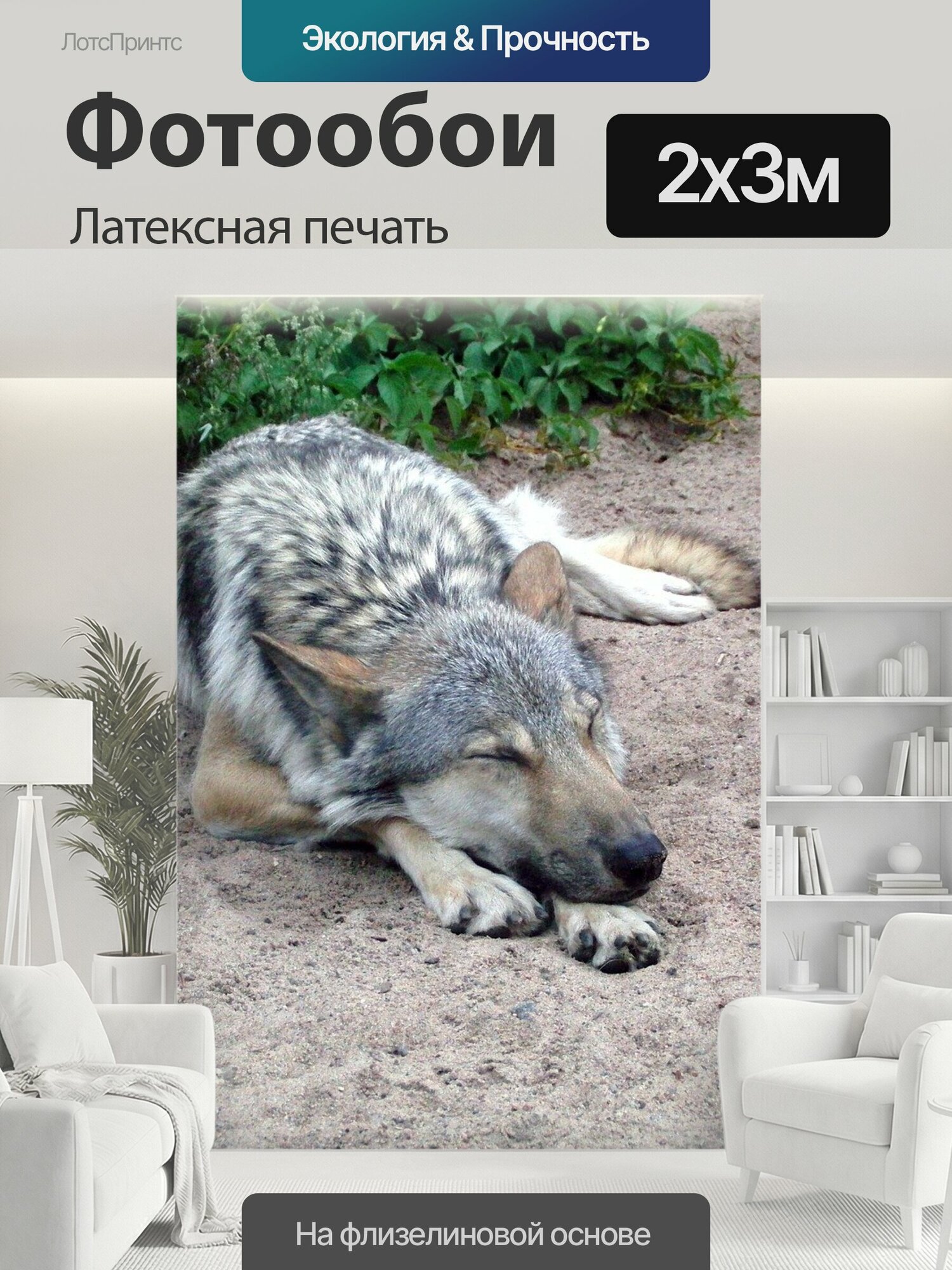 Фотообои моющиеся ударопрочные "Волк, серый волк, canis lupus" 200x300 см. латексная печать
