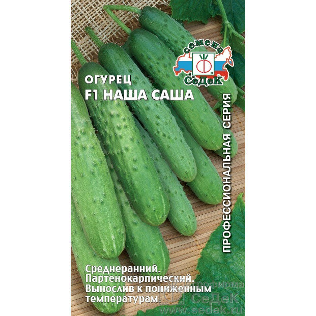 Семена огурца "Наша Саша F1" 10 упаковок по 0,2 гр - обеспечит вас свежими и вкусными огурцами.