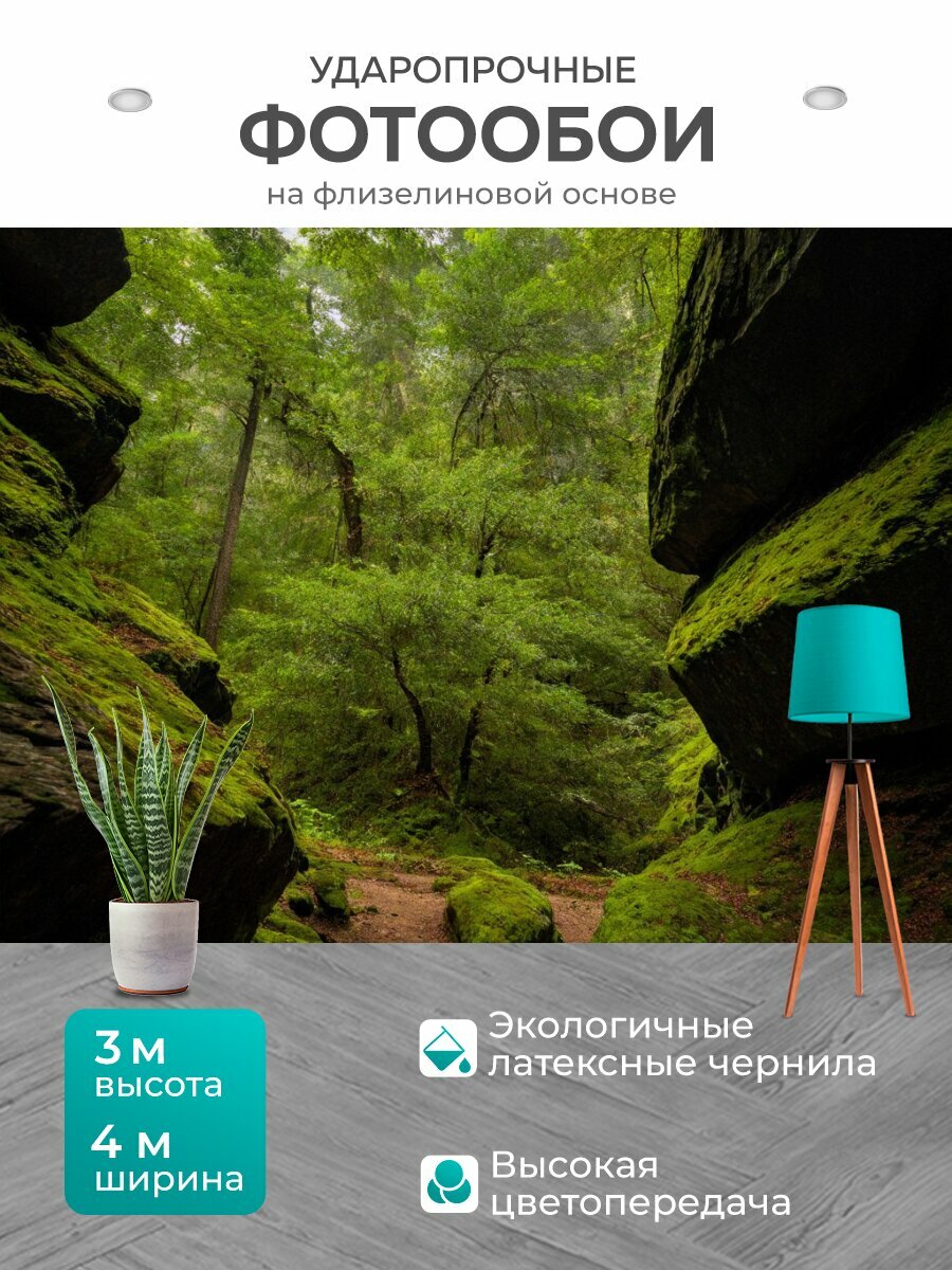 Фотообои моющиеся ударопрочные "Лес с высокими скалами, обрамляющими лес" 400x300 см. флизелиновые на стену
