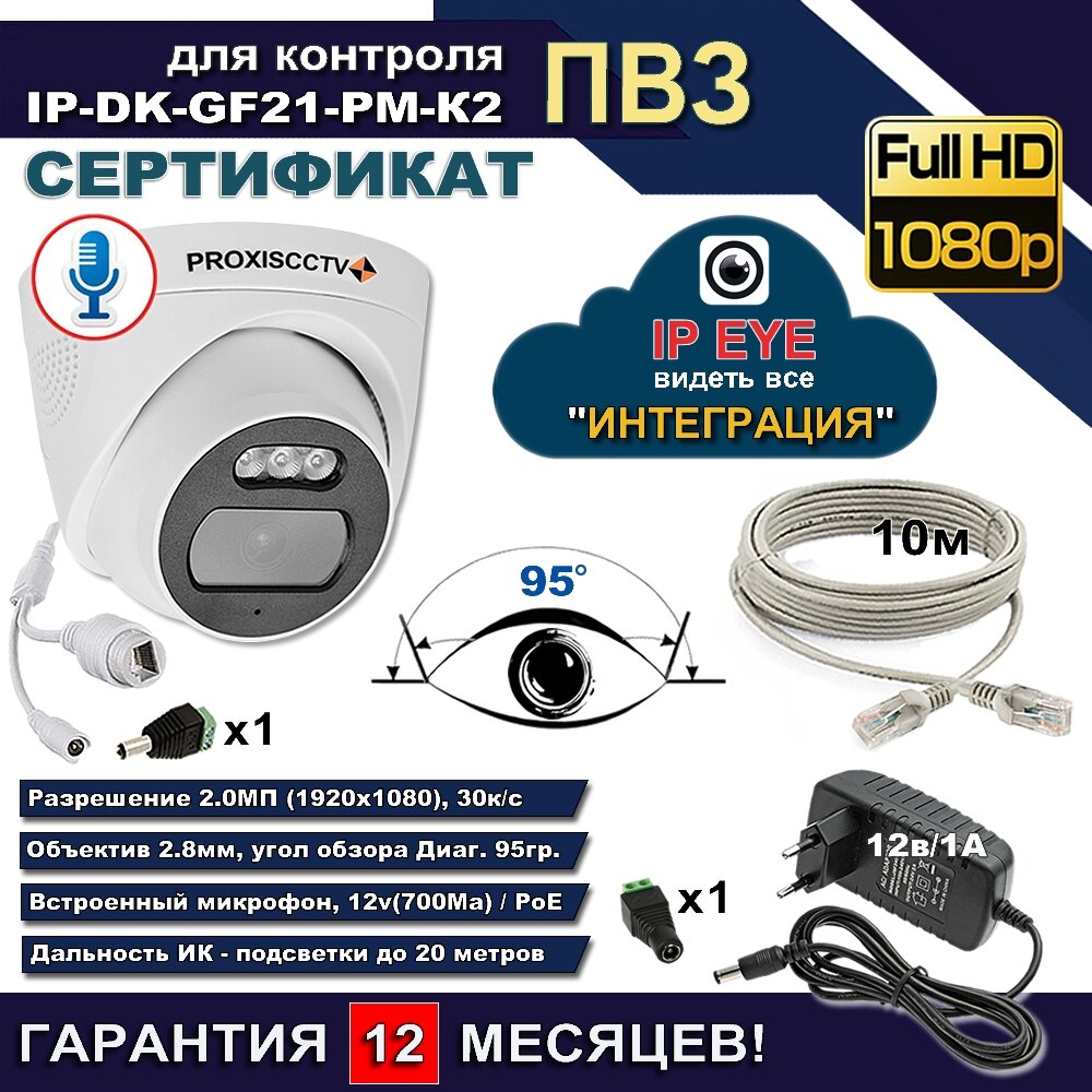 IP камера IP-DK-GF21-PM-K2 с микрофоном для пвз ipeye купольная