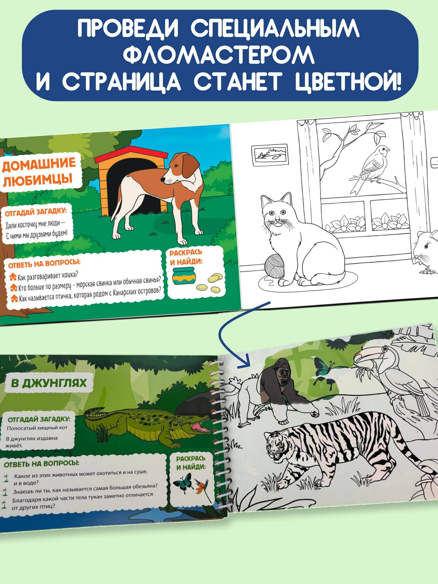 Дикие животные — фото 1