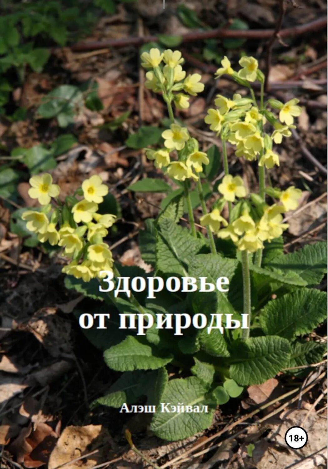 Здоровье от природы [Цифровая книга]