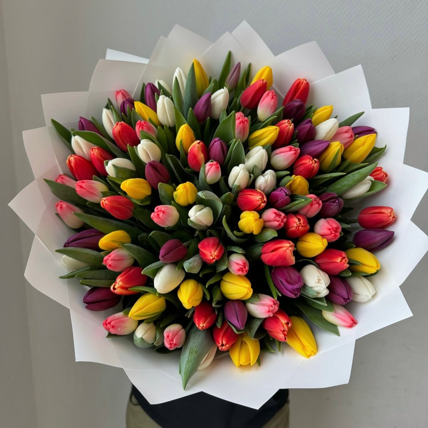 Букет из разноцветных тюльпанов 101 шт, красивый букет цветов, шикарный, премиум цветы, премиум букет