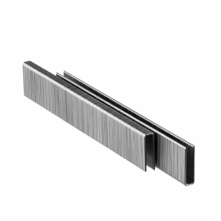 Скобы тип 55 для пневмостеплера 6х20 мм ЗУБР профессионал 2500 шт