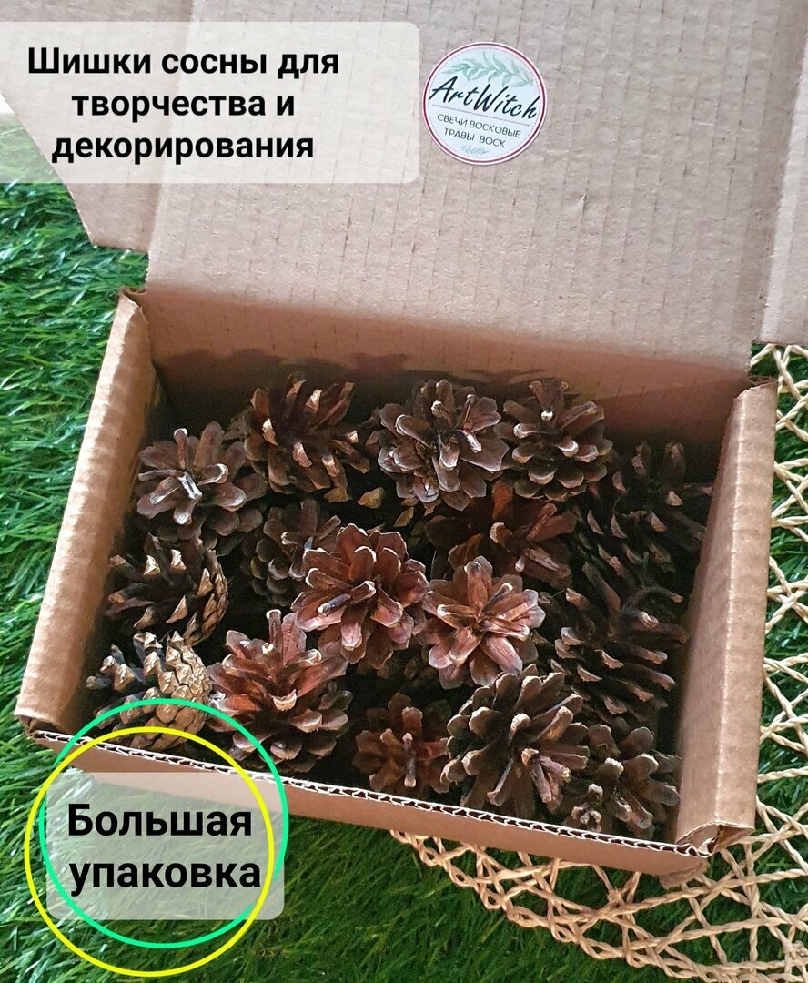 Шишки сосны набор для творчества 33 шт