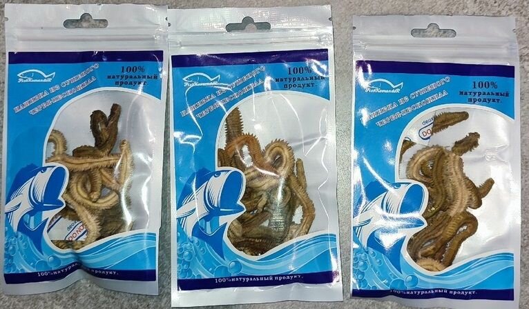 Нереис пескожил морской черви 3 шт