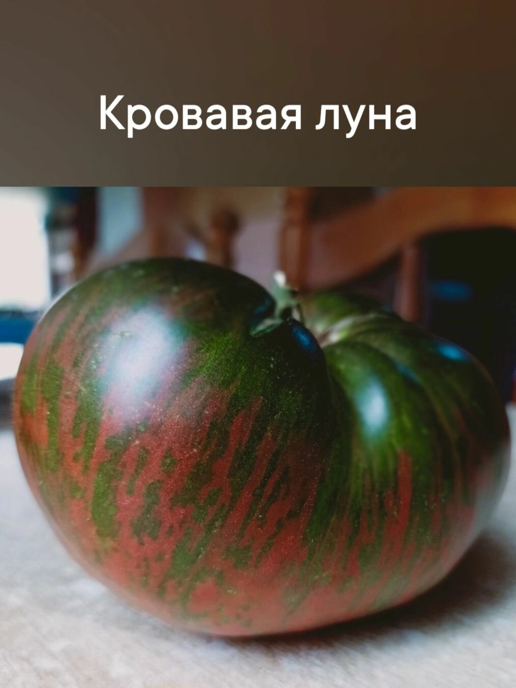 "Кровавая луна" семена томата 10 шт. Редкий коллекционный сорт.