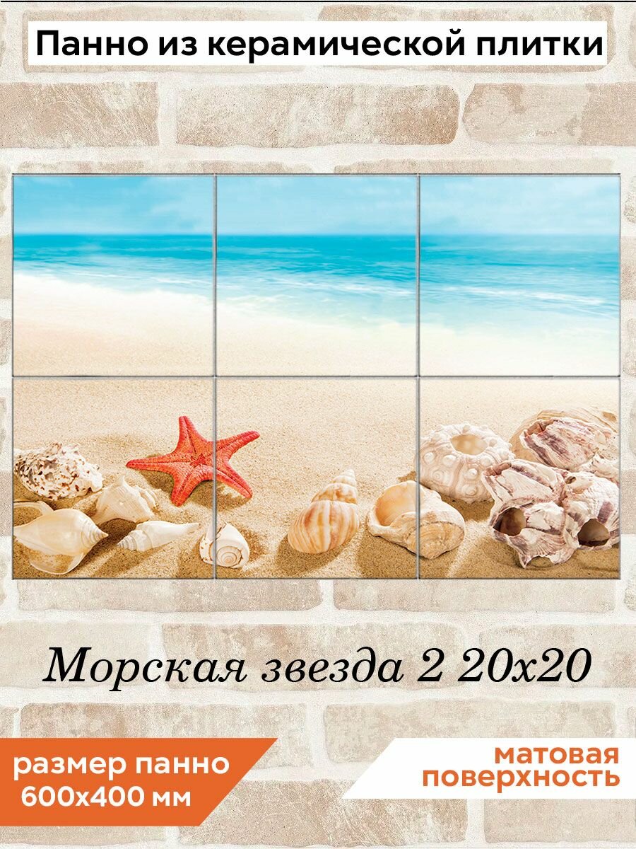 Панно из керамической плитки Fres-co "Морская звезда 2 20х20" керамическое, декоративное, матовое