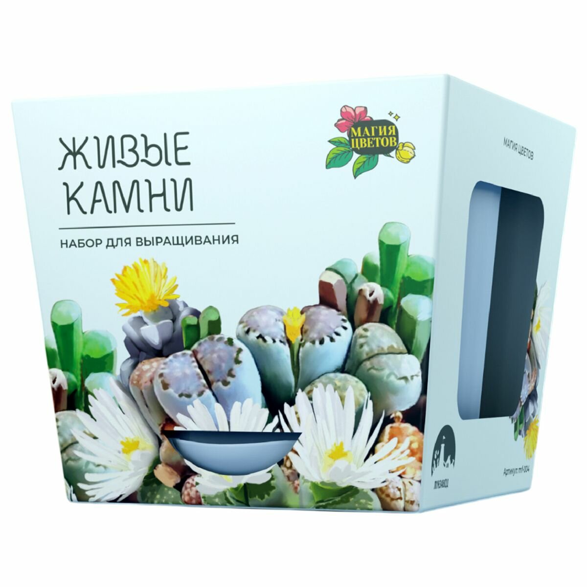 Набор для выращивания растений Магия цветов "Живые камни Литопсы" (горшок, грунт, семена) (mf-004)