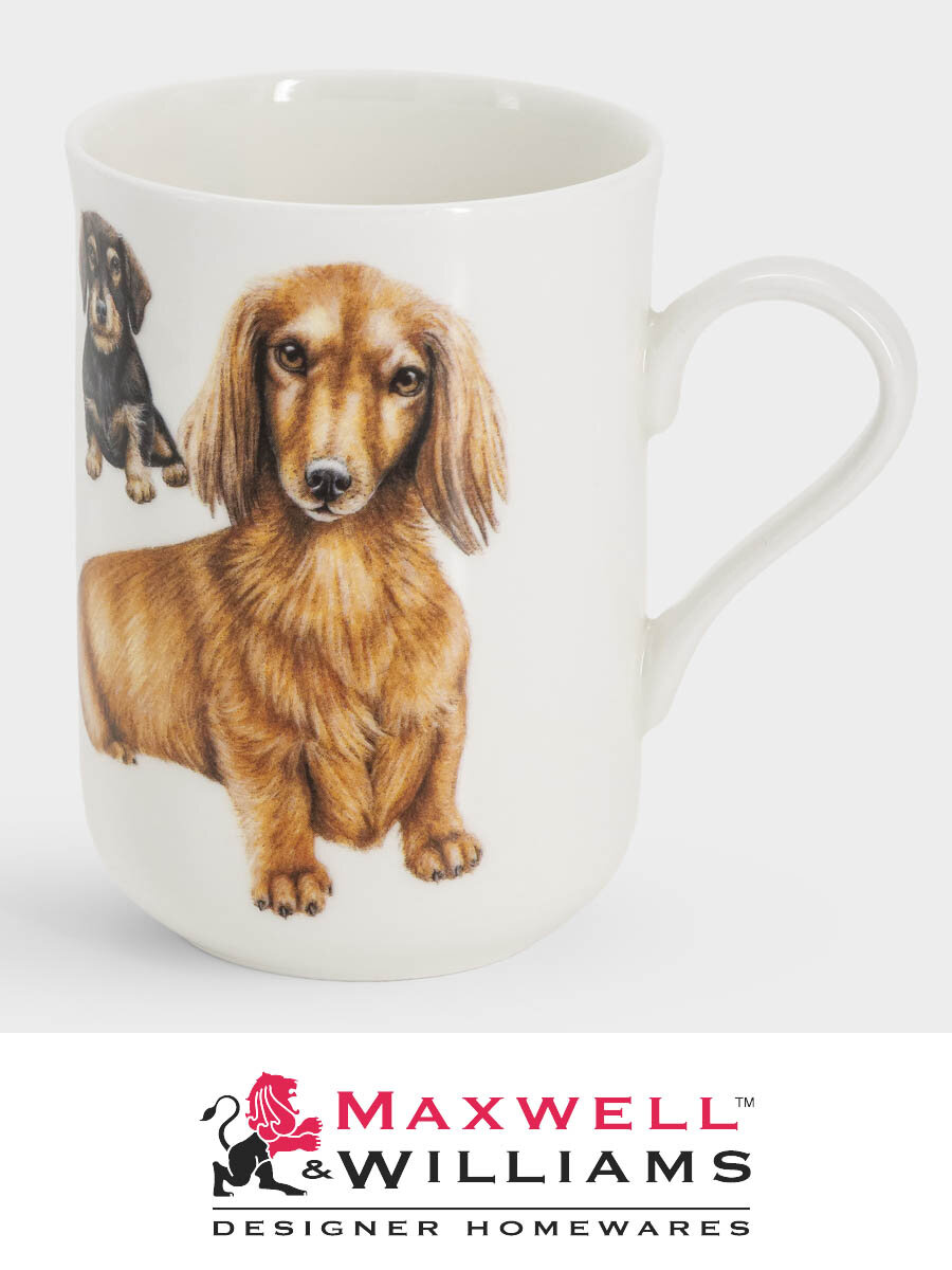 Кружка 300 мл "Такса" в подарочной упаковке, фарфор, подарочная упаковка