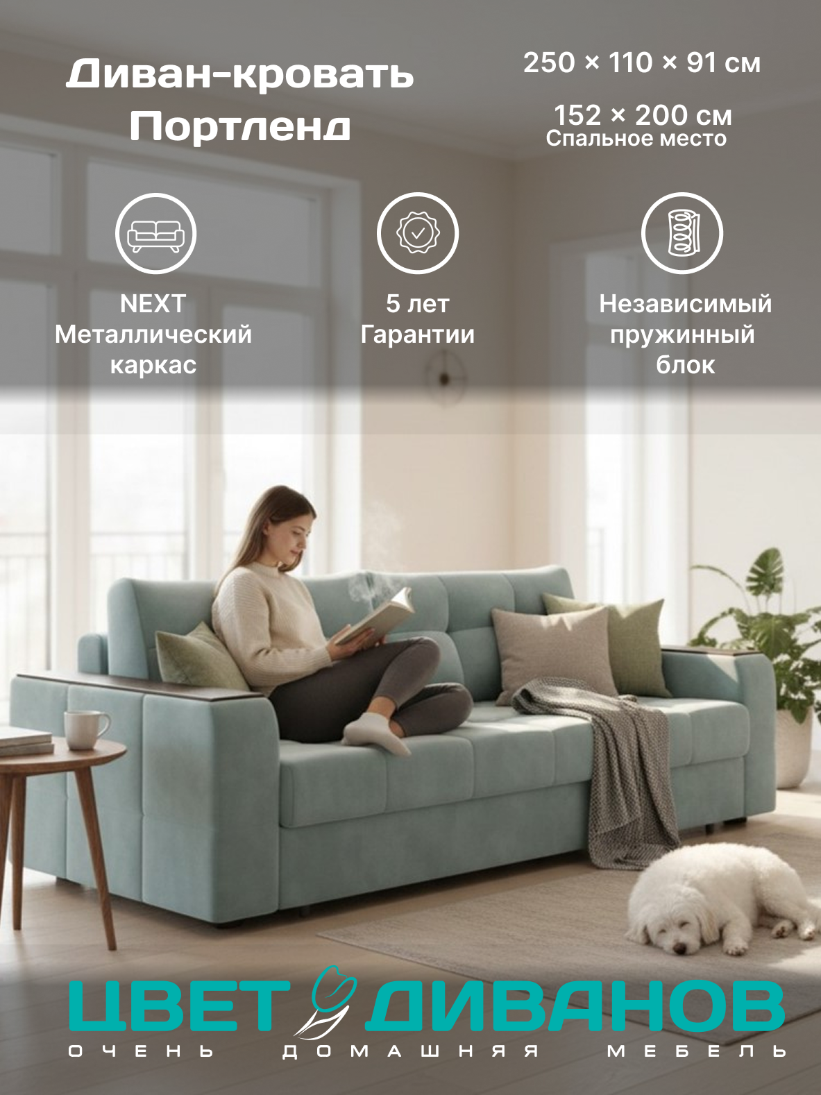 Прямой диван кровать Цвет Диванов Портленд NEXT 22 250 раскладной, с ящиком для белья, ортопедический матрас