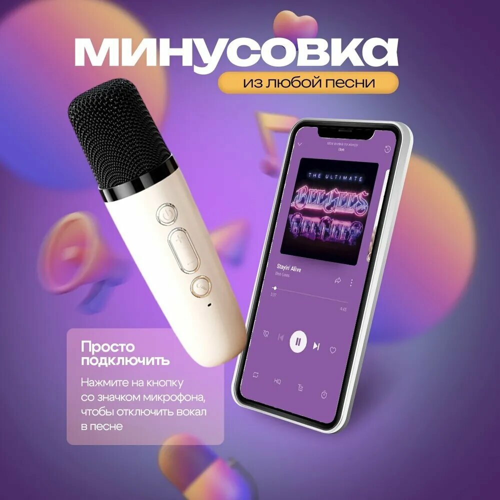 Караоке-система — фото 1