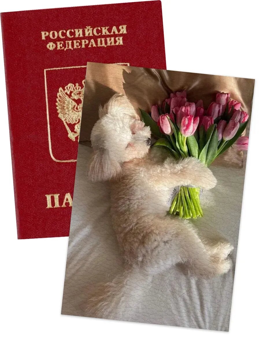 Обложка для паспорта