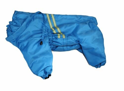 Комбинезон с утеплением, синтепон, для брюссельского гриффона суки, со светоотражающими полосами, цвет голубой