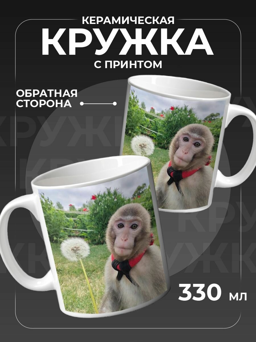 Керамическая кружка с принтом, для чая и кофе, 330 мл, Обезьянки мем
