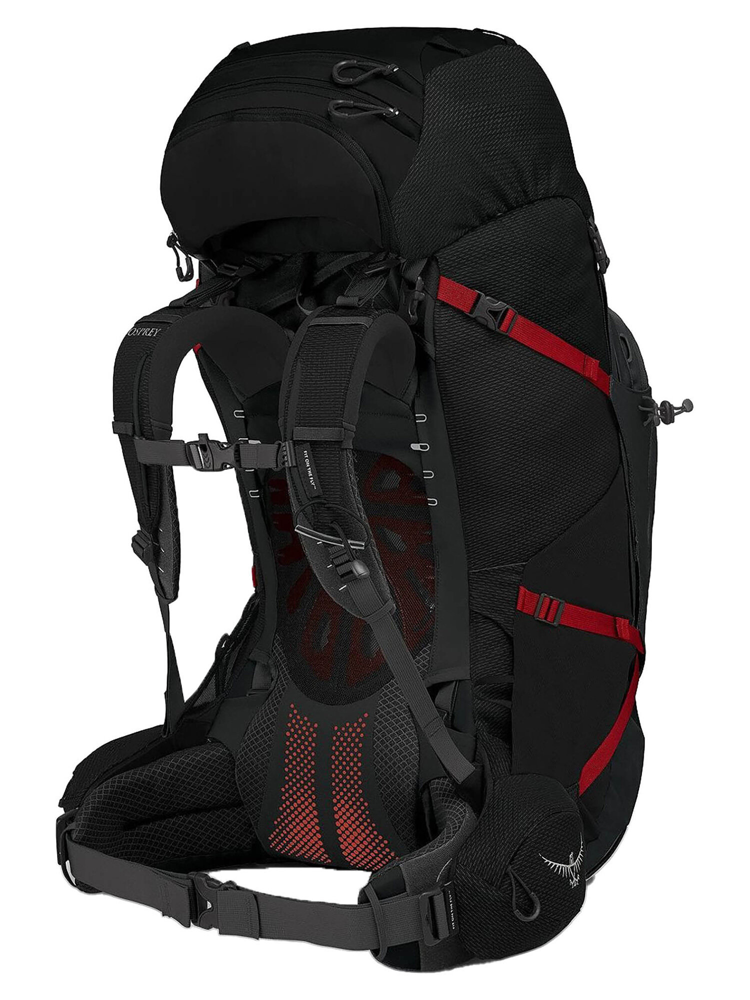 Рюкзак Osprey Aether Plus 85 Black (US: S-M) — фото 1