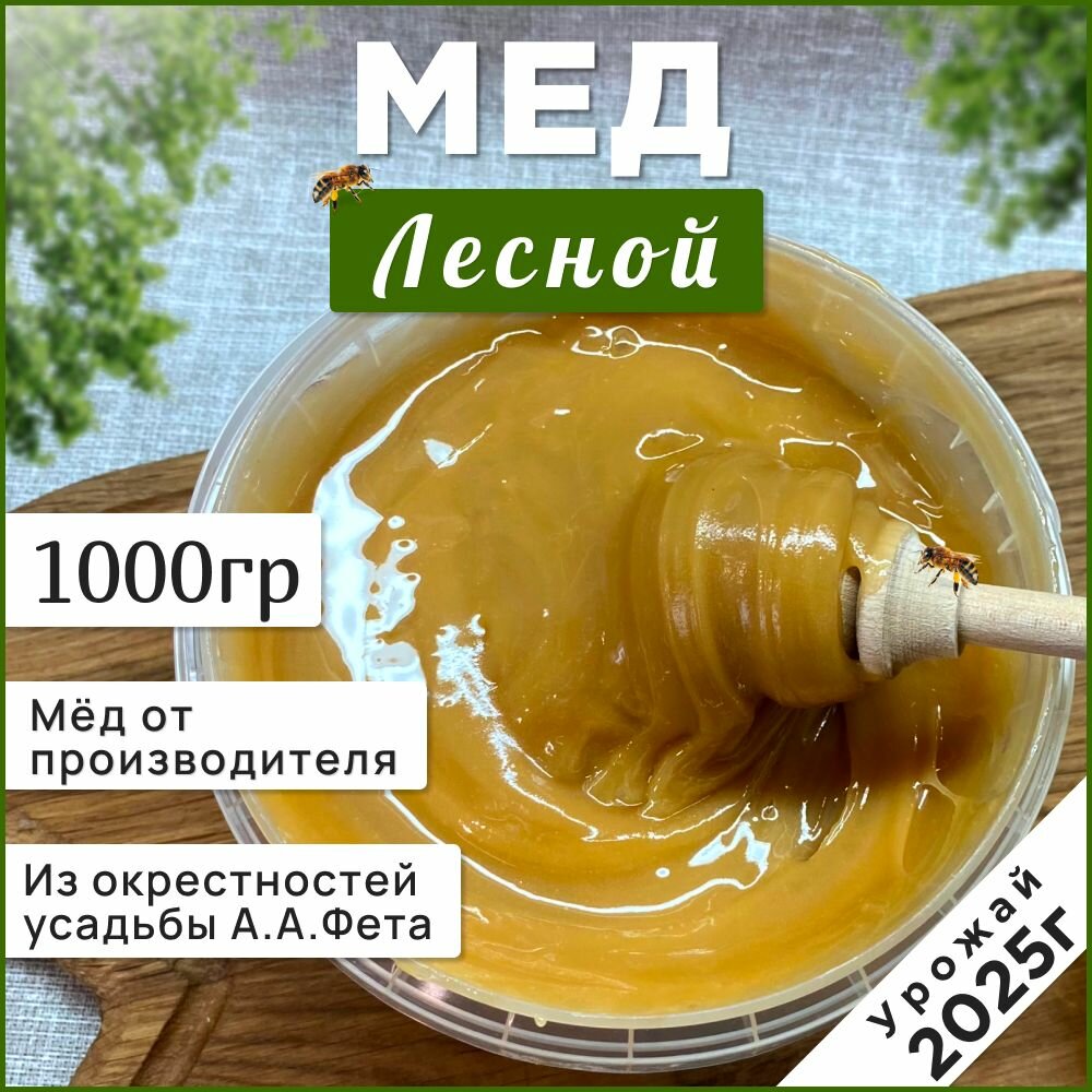 Мед лесной 1кг натуральный мед 2025 г