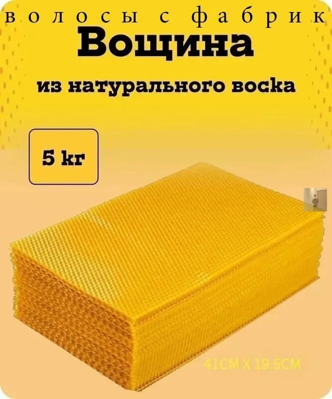Вощина