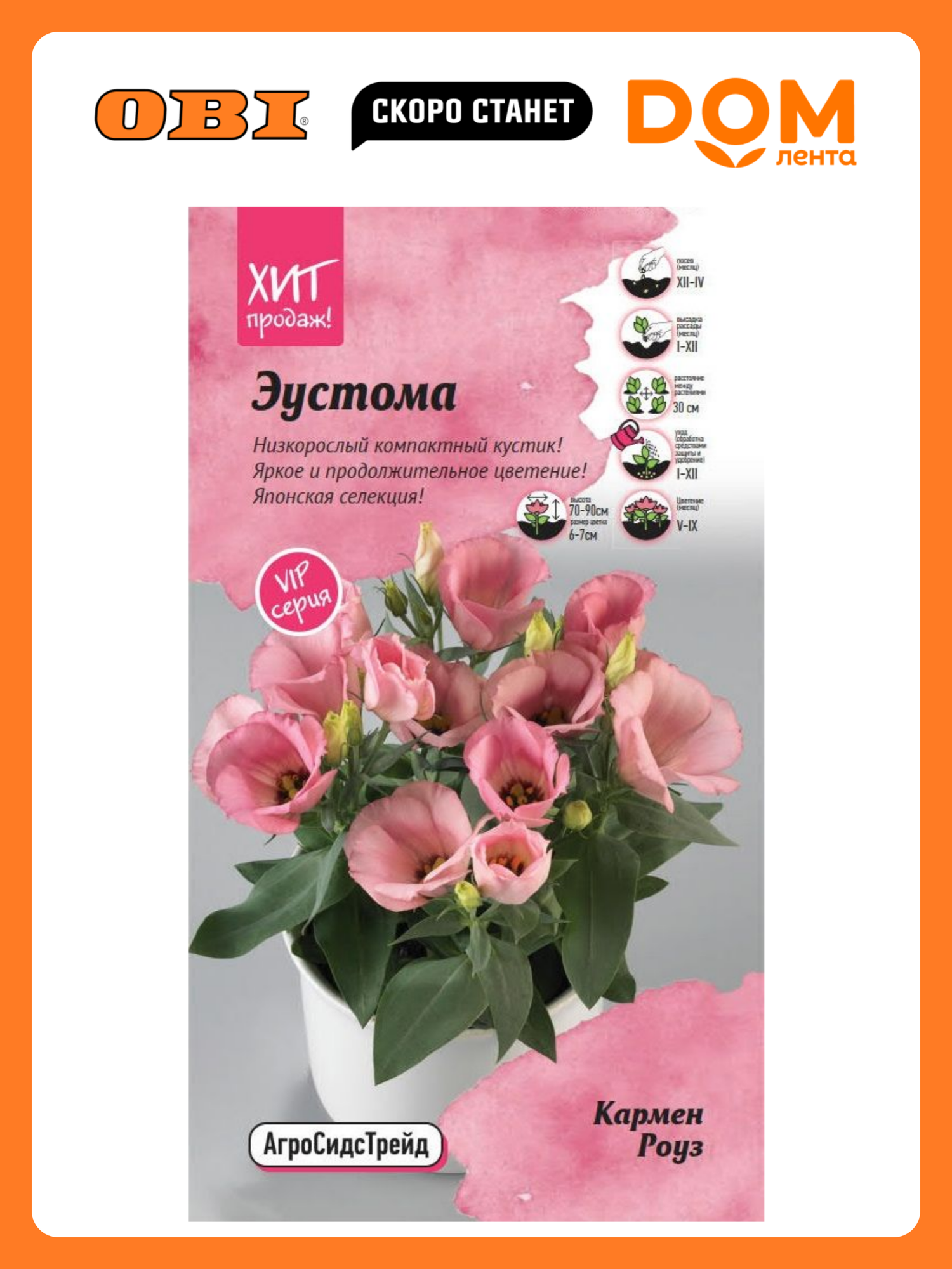 Эустома Кармен Роуз 5 шт. АСТ