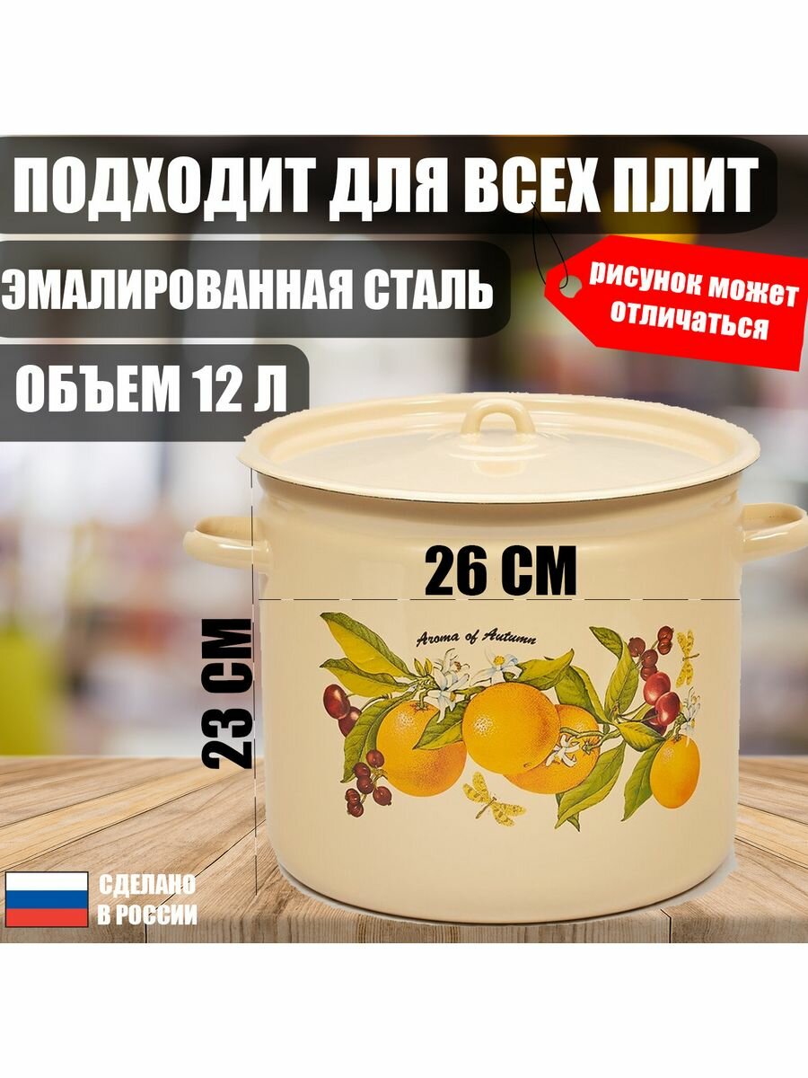 Кастрюля эмалированная 12л, кремовая с рисунком в ассортименте, для всех видов плит