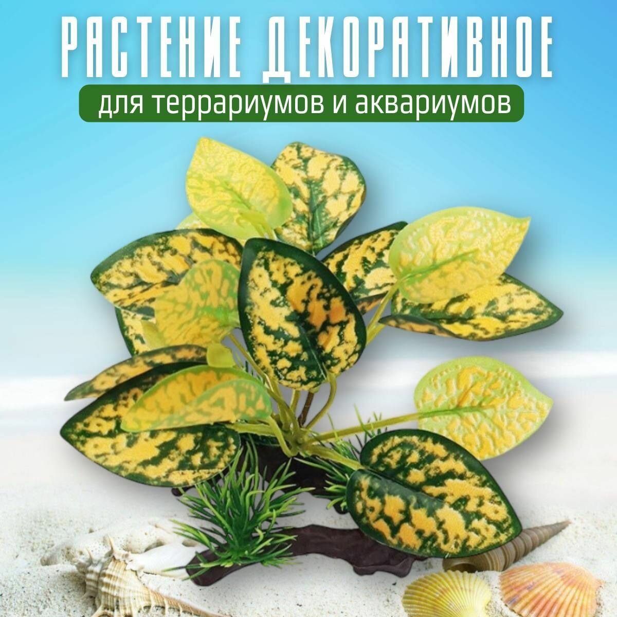 Декорация для аквариума "Растение на коряге" (для аквариумов и террариумов), AQPL-003