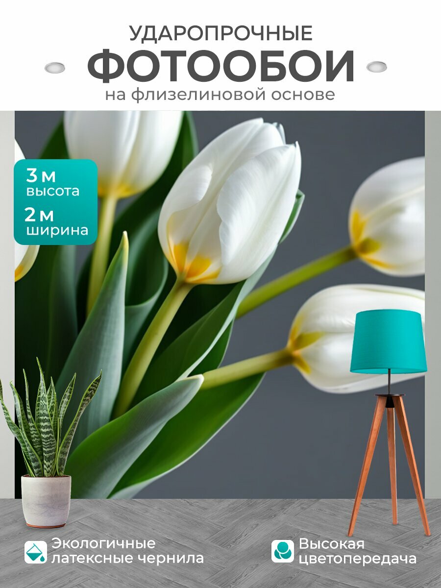 Фотообои моющиеся ударопрочные "Белые тюльпаны на сером фоне" 300x300 см. флизелиновые на стену