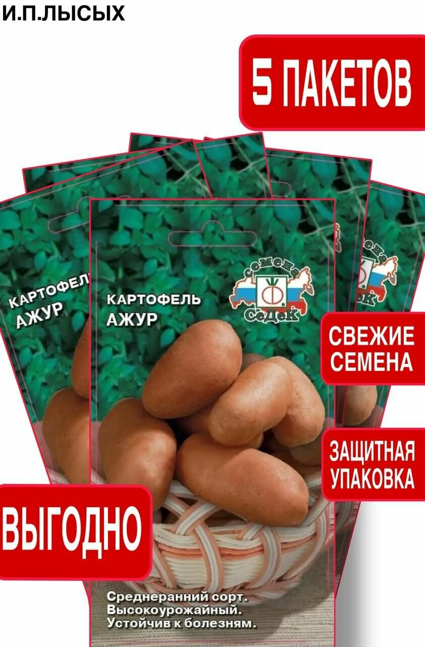 Семена Картофель Ажур 5 шт