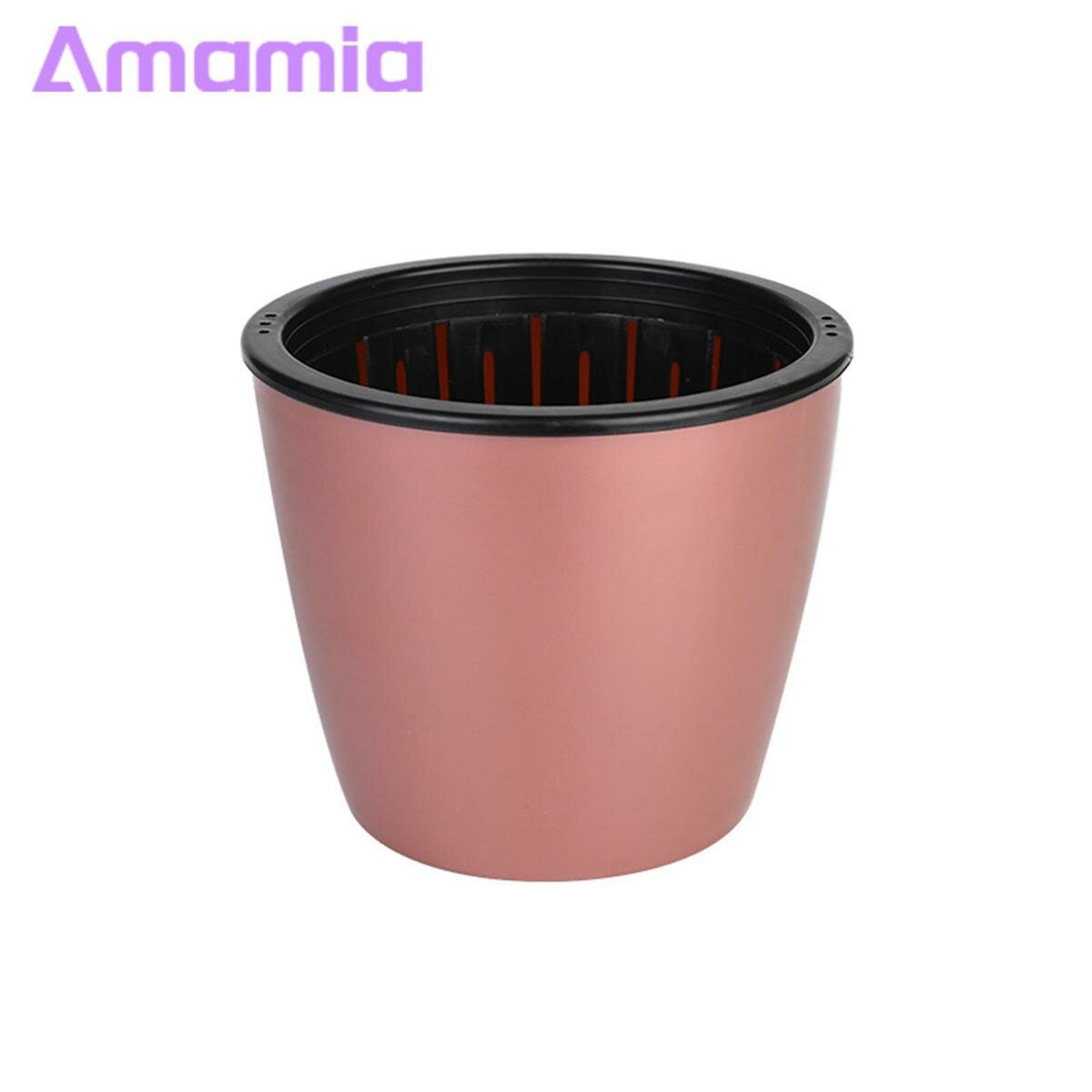 Садовое растение Amamia, дизайн яйца динозавра, широкое применение, суккулентное кашпо