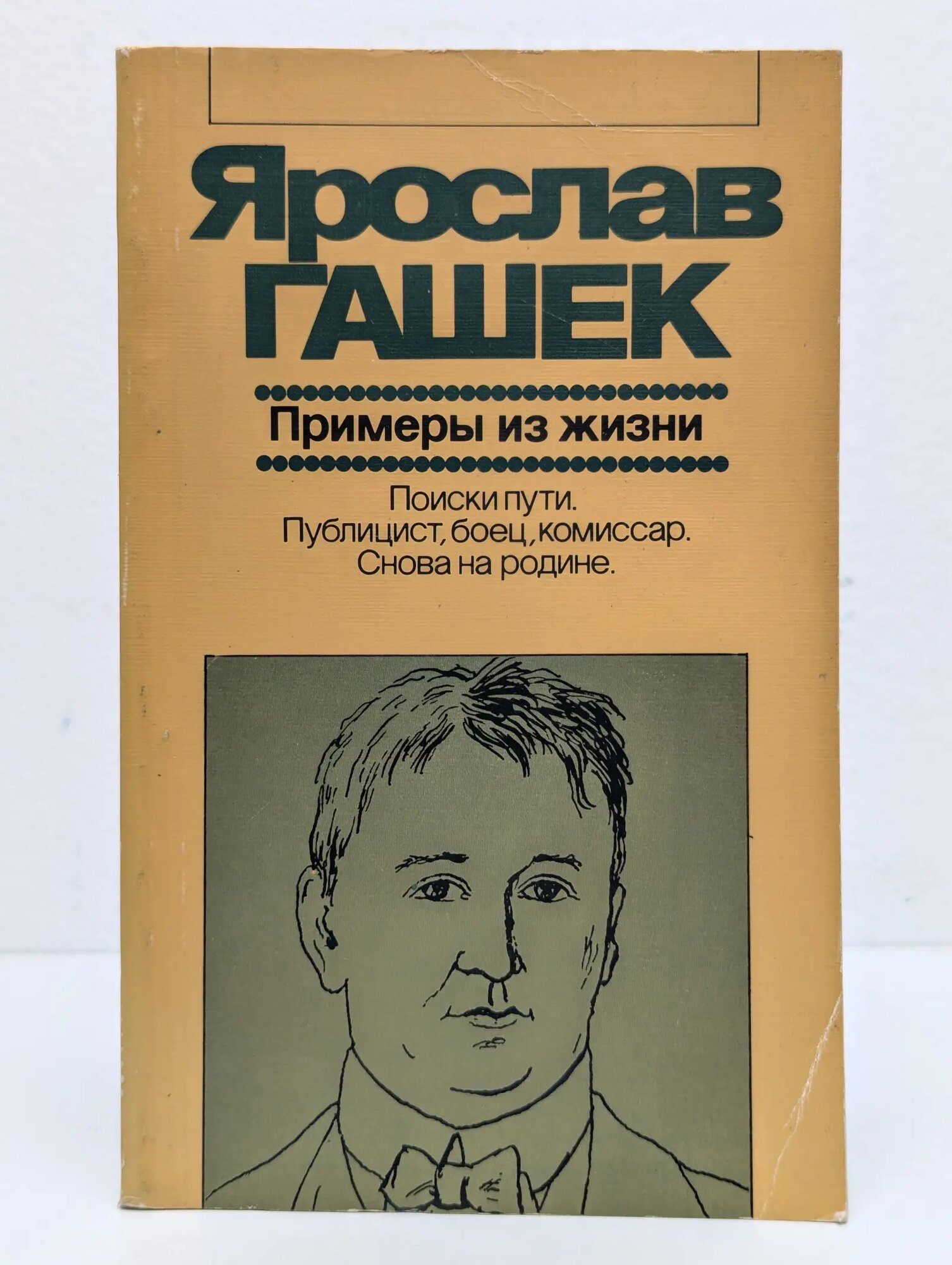 Примеры из жизни Гашек Ярослав 1983